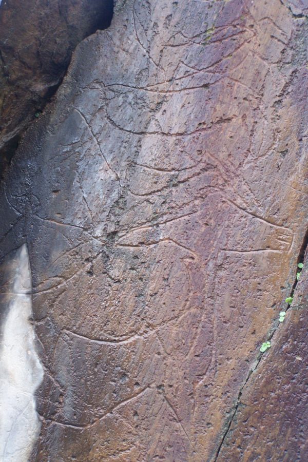 Gravuras rupestres de Vila Nova de Foz Côa | - Knoow